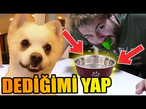 🐶 KÖPEĞİMİN SUYUNU İÇTİM 💧 | 20 SANİYEDE DEDİĞİMİ YAP CHALLENGE