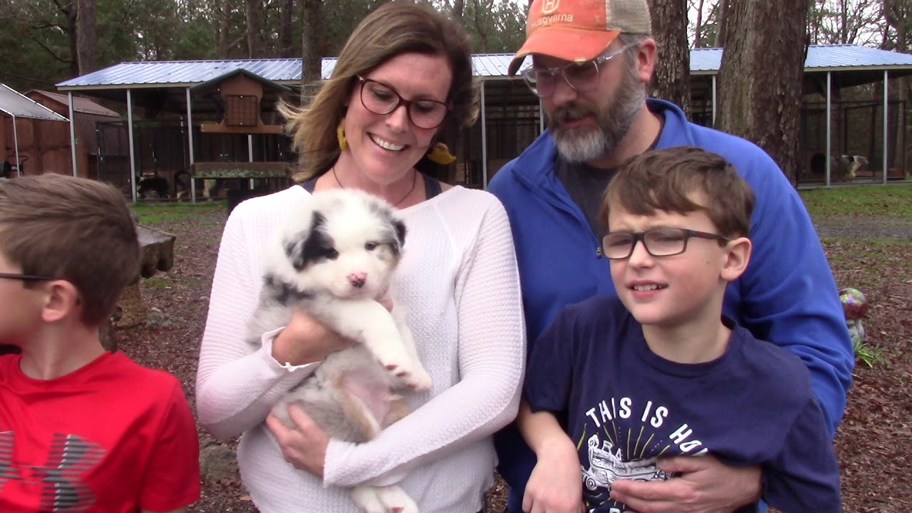MVI 0145 - Cawley Family 1-11-20 - YouTube