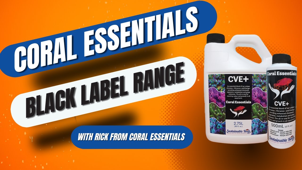 Exploring the Coral Essentials Product Range Episode 2 - YouTube