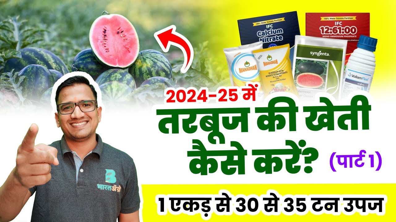 तरबूज की खेती कब और कैसे की जाती है? tarbuj ki kheti kaise karen ...