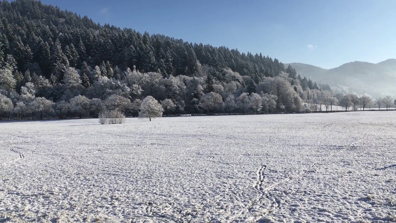 Freiburg Winter Spaziergang Erster Schnee Eis Sonne Winterlandschaft ...
