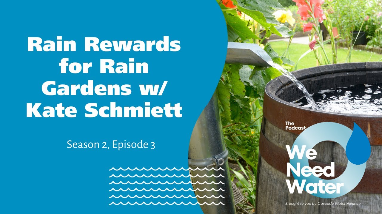 Rain Rewards for Rain Gardens - YouTube