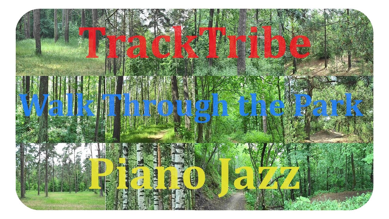 Relaxing RainForest Ambience Birds Singing: TrackTribe - Walk Through ...