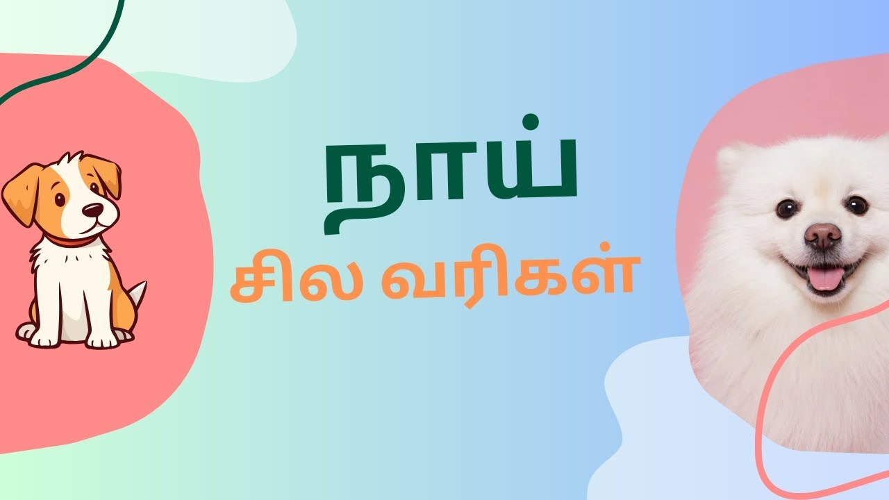 dog essay in tamil | நாய்| நாய் பற்றிய 10 வரிகள் | எனது செல்லப்பிராணி ...