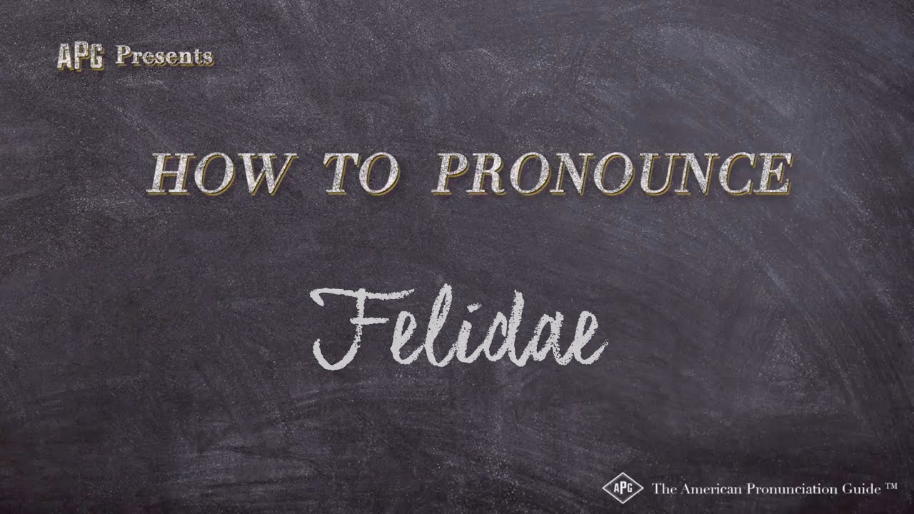 How to Pronounce Felidae (Real Life Examples!) - YouTube