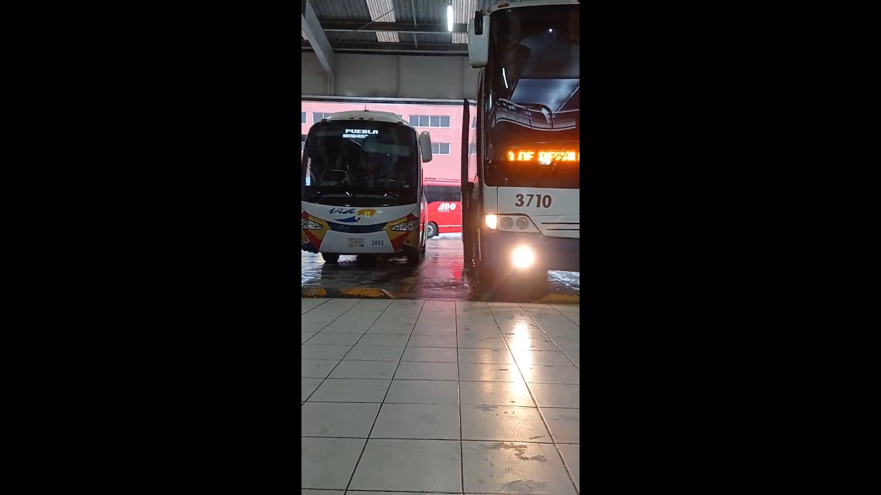 Así lucen los andenes con autobuses VIA, ADO, AU y TRS en la terminal ...