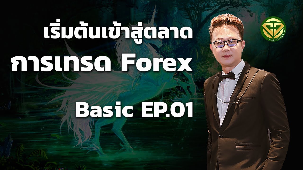 Basic EP.01🟢 เริ่มต้นเข้าสู่ตลาดการเทรด Forex - YouTube