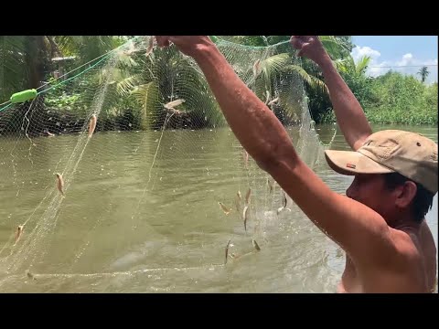 Winning the fish trick is heart-breaking, everyone - YouTube