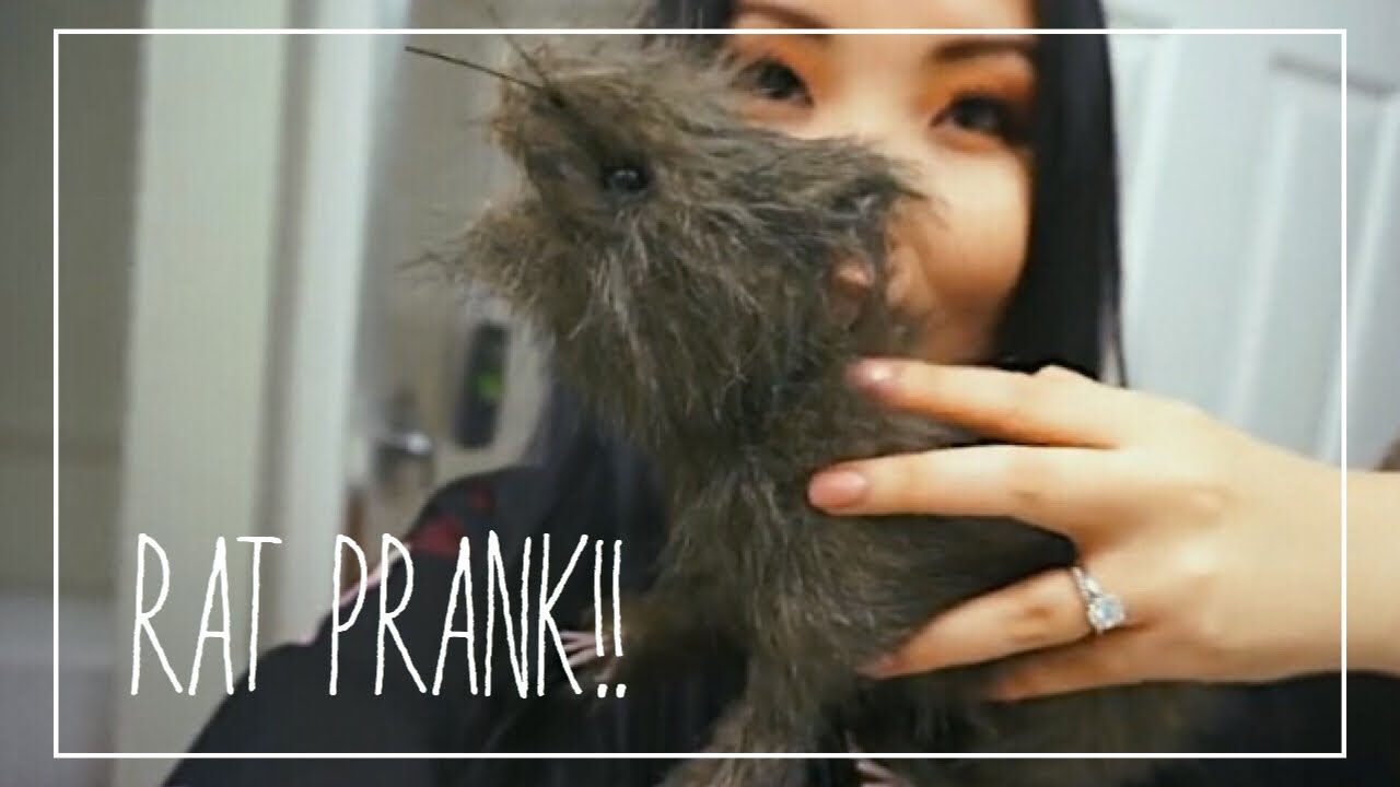 Rat Prank On Husband (FAIL!!) | Interracial Couple - YouTube