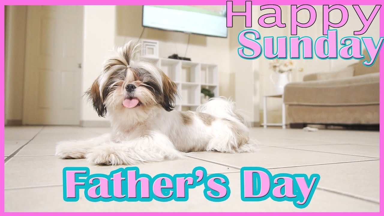 Happy Sunday || Father's Day - YouTube