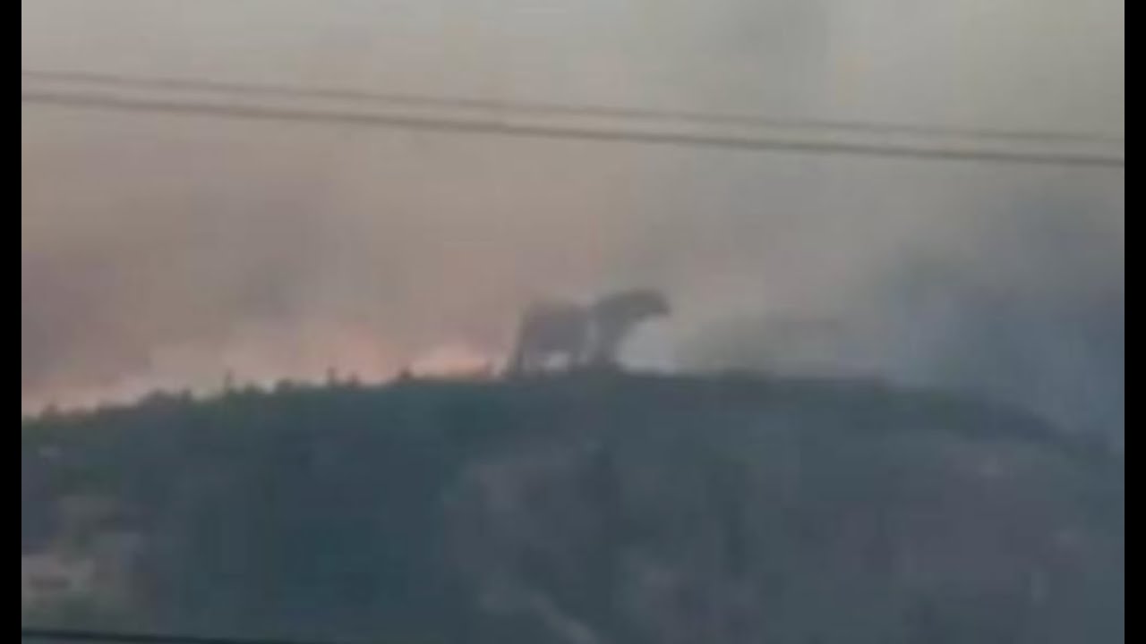 Beware of the Terrifying Fire Bear of Kelowna, BC - YouTube