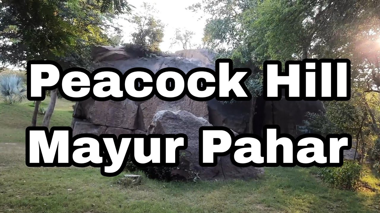 Peacock Hill South Delhi 🔥 Mayur Pahar Beautiful Natural Location 🌹🔥🌹 ...