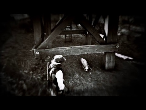 Red Dead Redemption 2 How to find yellow dog in Emerald Ranch for NPC ...