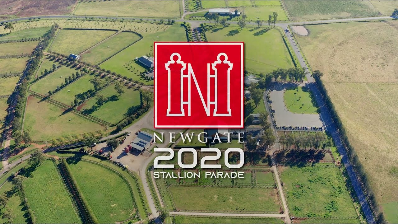 Newgate Virtual Stallion Parade 2020 - YouTube