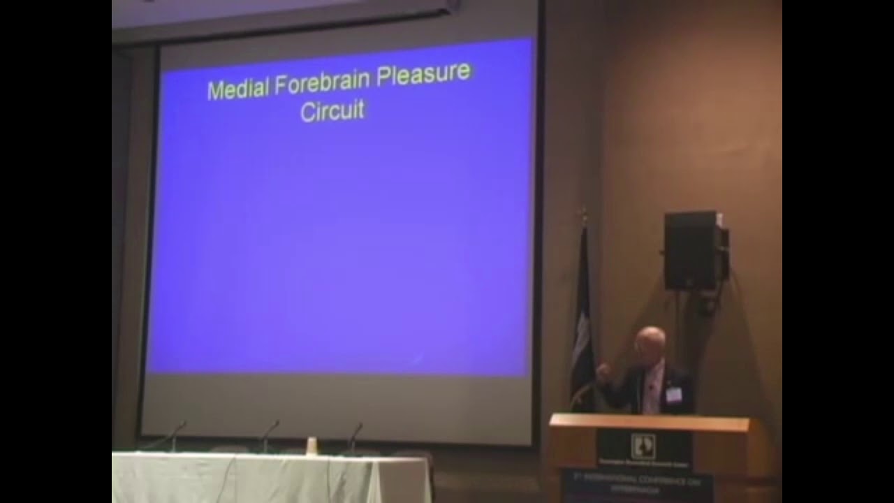 What Causes Obesity? Episode 4: Energy Expenditure and Regulatory ...