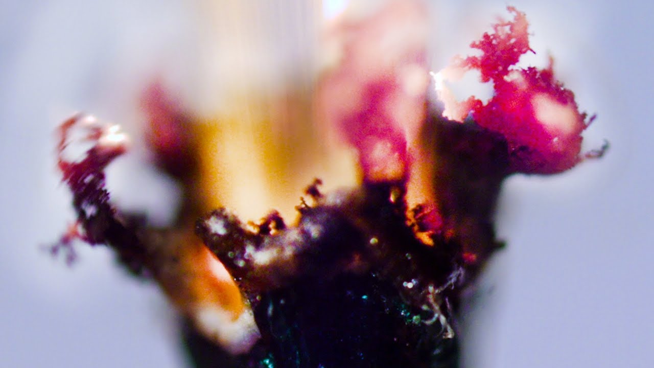 Firework fuse burning in incredible macro slow motion - YouTube