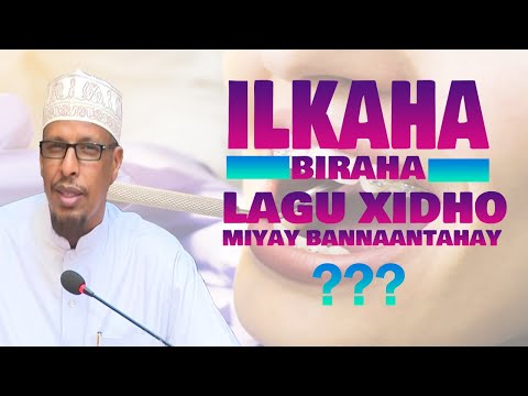 (FAAIIDO) ILKAHA BIRAHA LAGU XIDHO MIYAY BANNAANTAHAY, FANAXDA MA LA ISKA XIRI KARAA??? ┇► SH SHIBLI