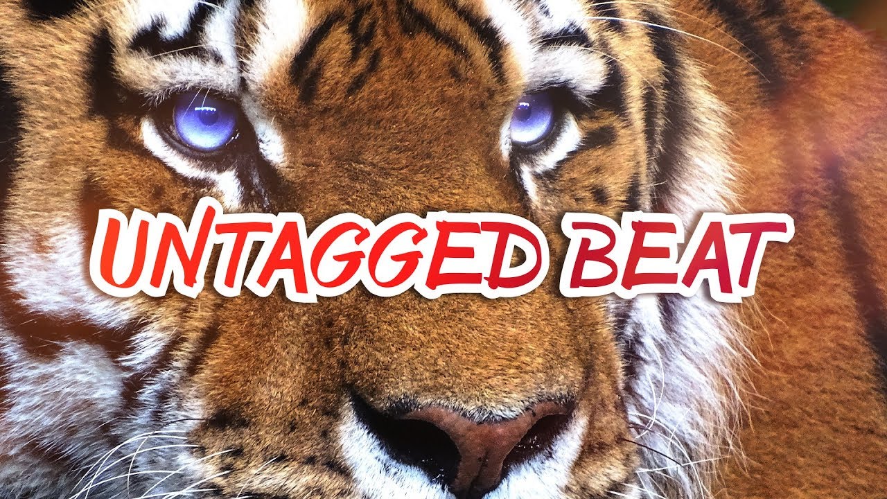 "Tiger" UNTAGGED Hard Trap Beat 2018 / Ethnic Dope Rap Instrumental ...