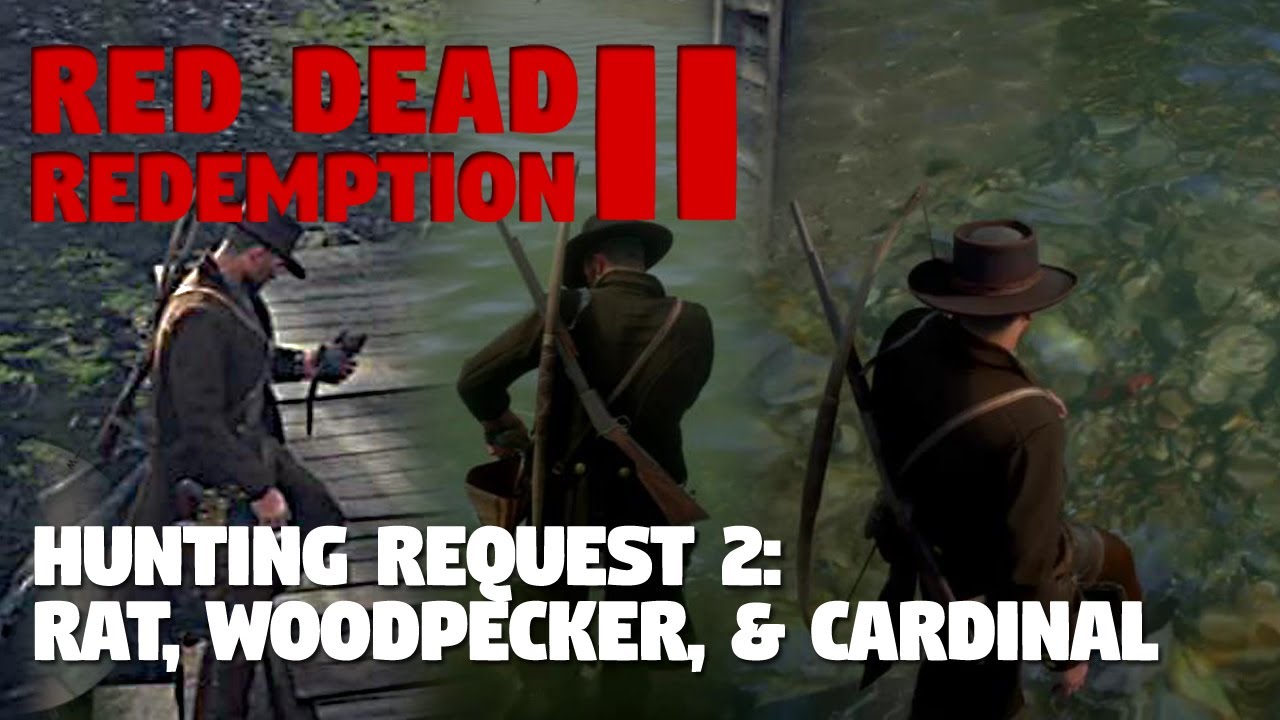 HUNTING RAT, WOODPECKER AND CARDINAL Red Dead Redemption 2 Gameplay ...
