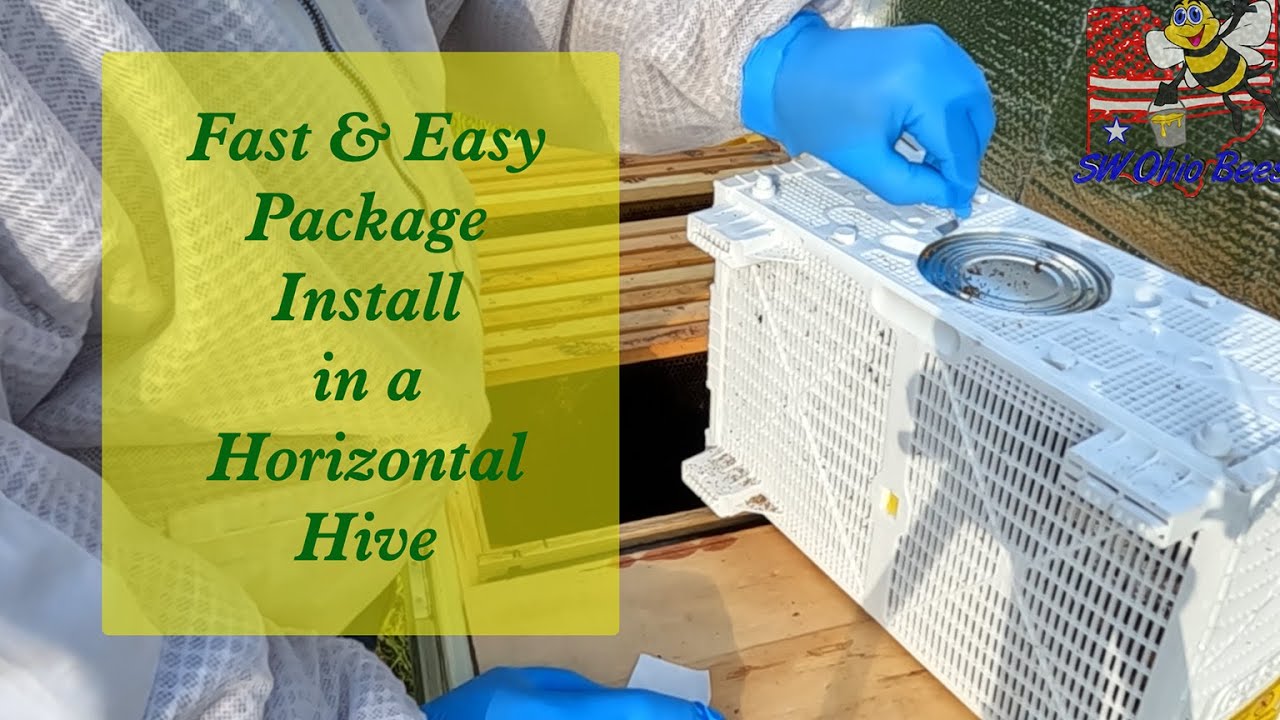 Beekeeping | Installment of Packages in Horizontal Hives - YouTube