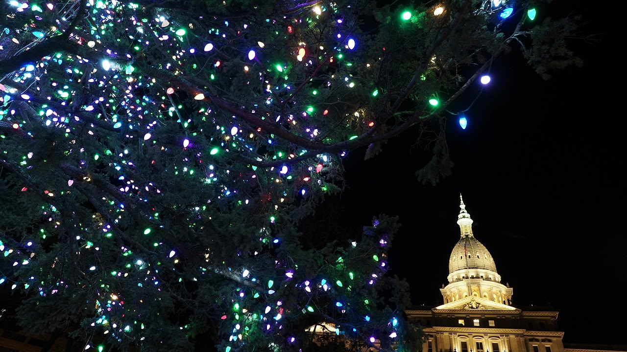 2021 Michigan State Tree! - YouTube
