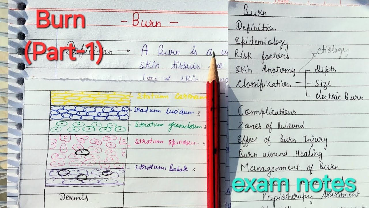 Burn (PART-1) exam notes (Definition ,Epidemiology, risk factors, skin ...