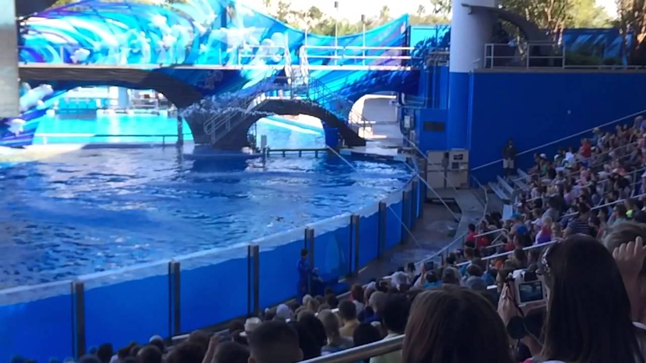 My SeaWorld commercial - YouTube