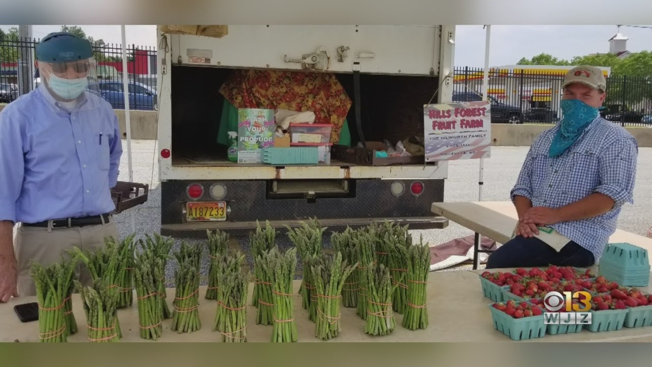Baltimore County Farmers Market Opens Wednesday - YouTube