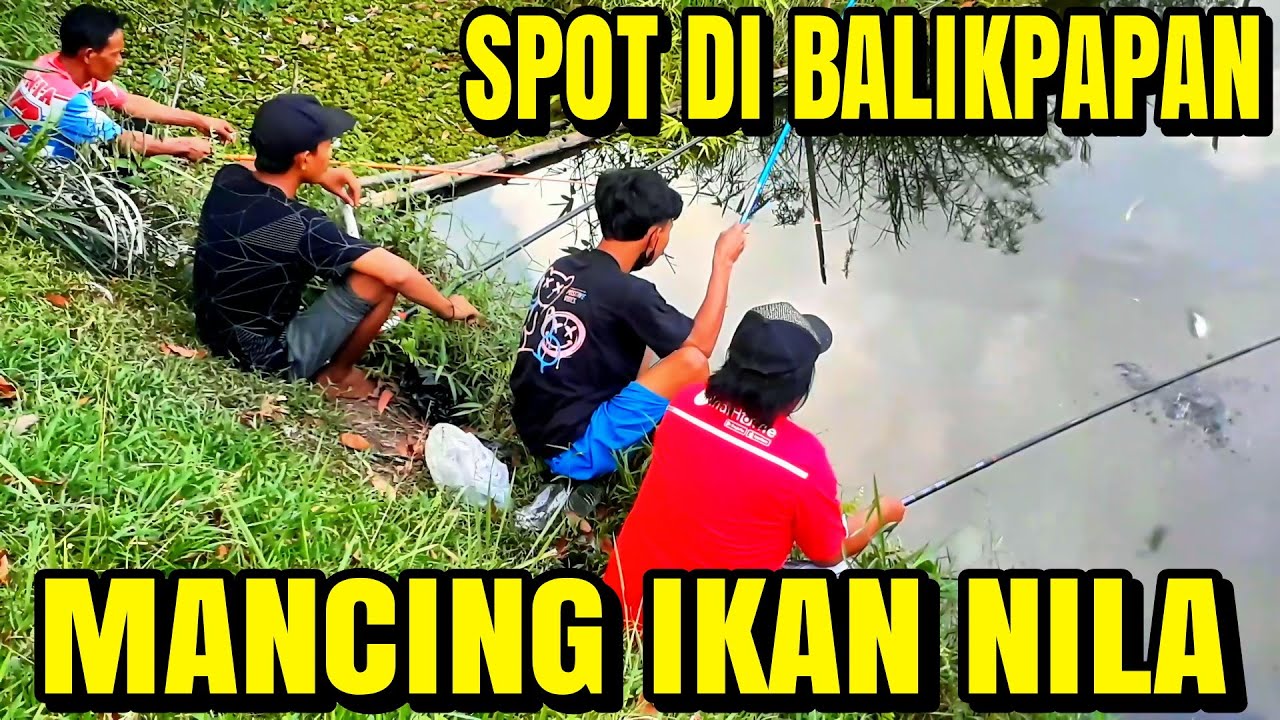 SPOT MANCING IKAN NILA IKAN PEPUYU IKAN BADAR IKAN GABUS DI BALIKPAPAN ...