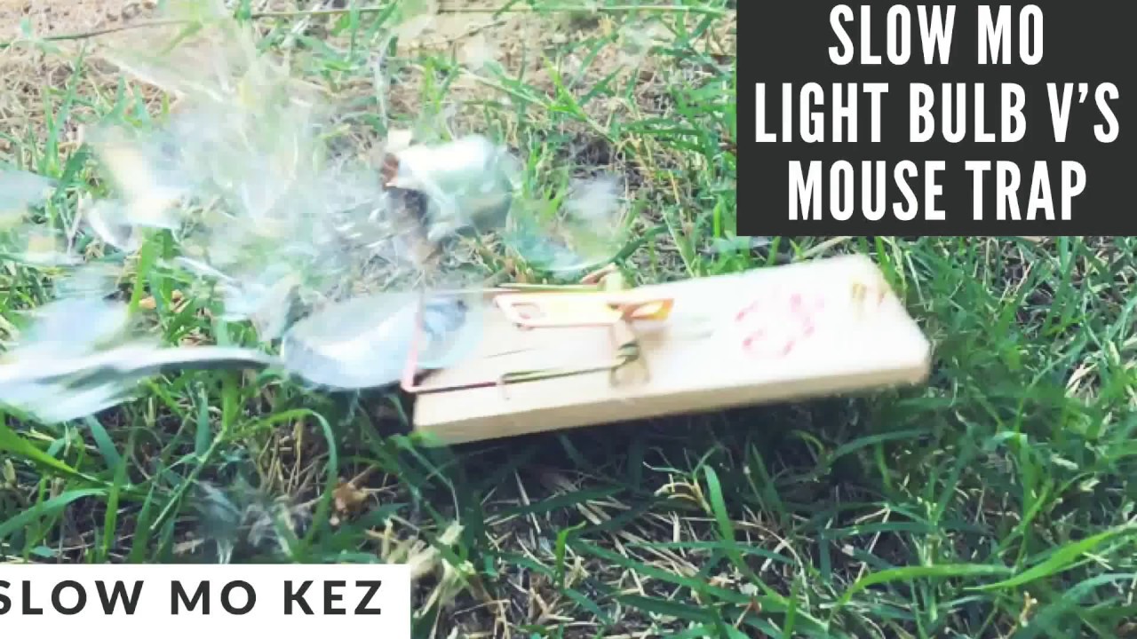 Slow Motion Light Bulb v's Mouse Trap 500fps - Slow Mo Kez - YouTube