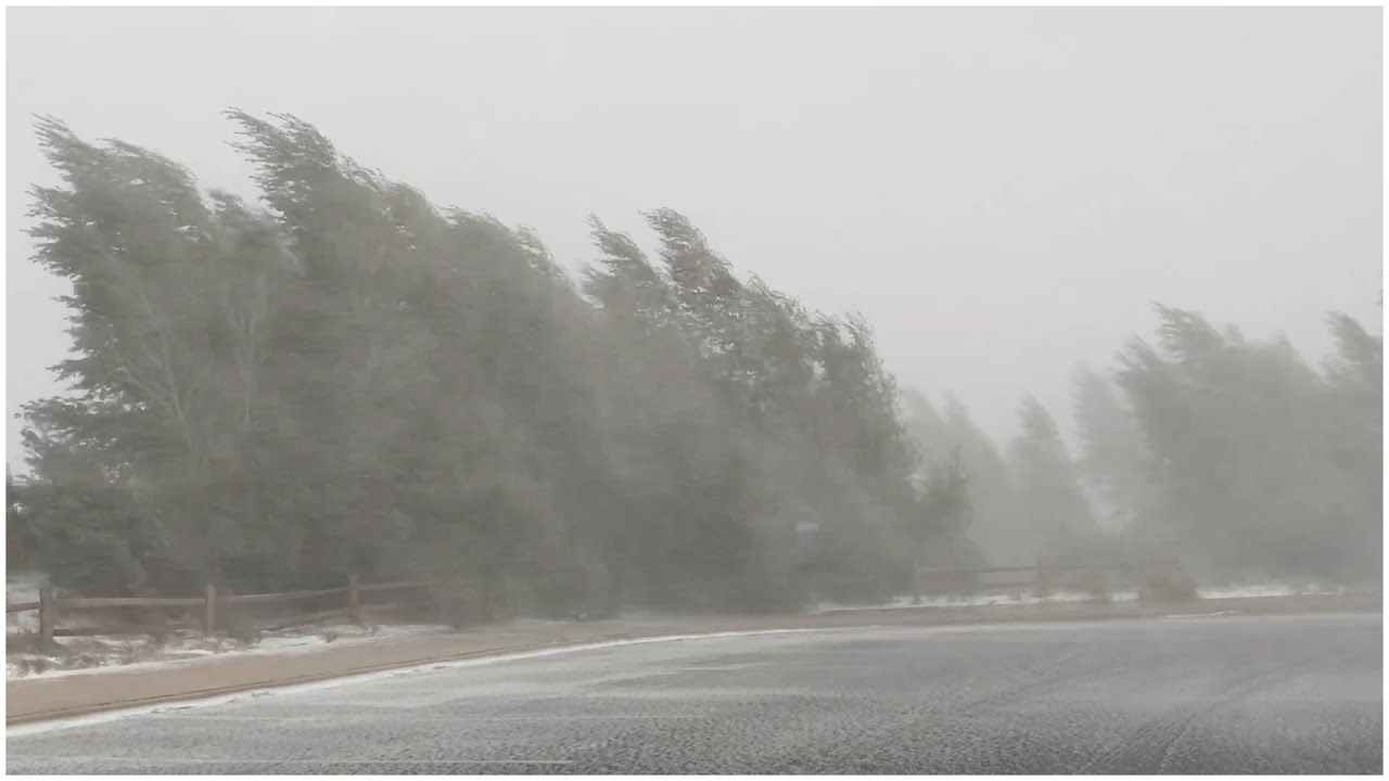 Freezing Blizzard & Frosty Wind Sound for Sleeping┇Howling Wind ...