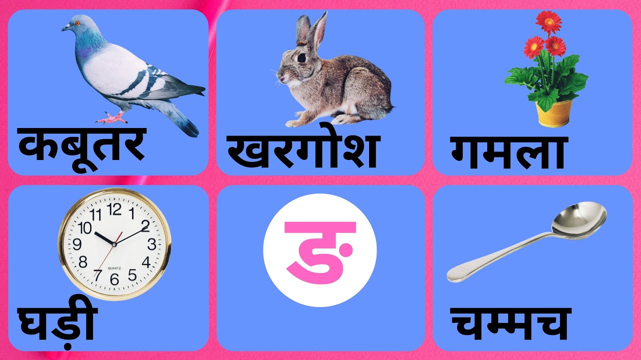 Learn Alphabets with live examples | Hindi Vyanjan with Live Examples ...