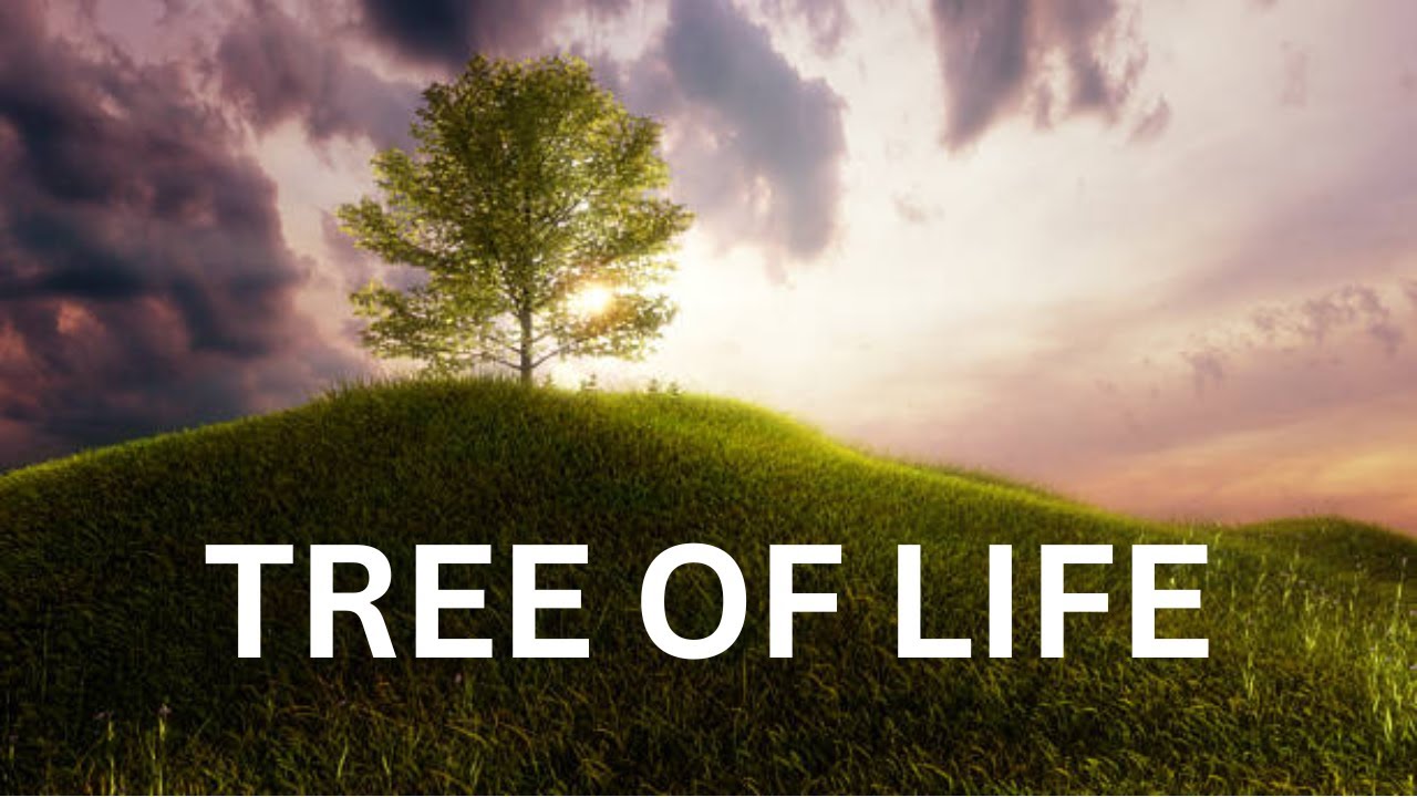 The Tree of Life: Symbolism, Wisdom, and Spiritual Journey - YouTube