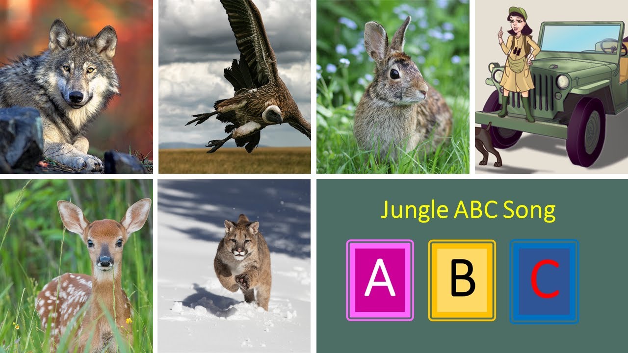 ABC Song - #Animals in Jungle by Grandma Gul - sounds, videos & more # ...