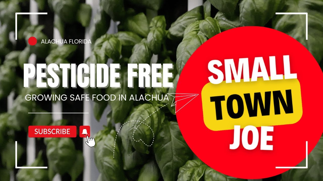 Growing 3 Acres of Pesticide free Produce in a Shipping Container | San ...