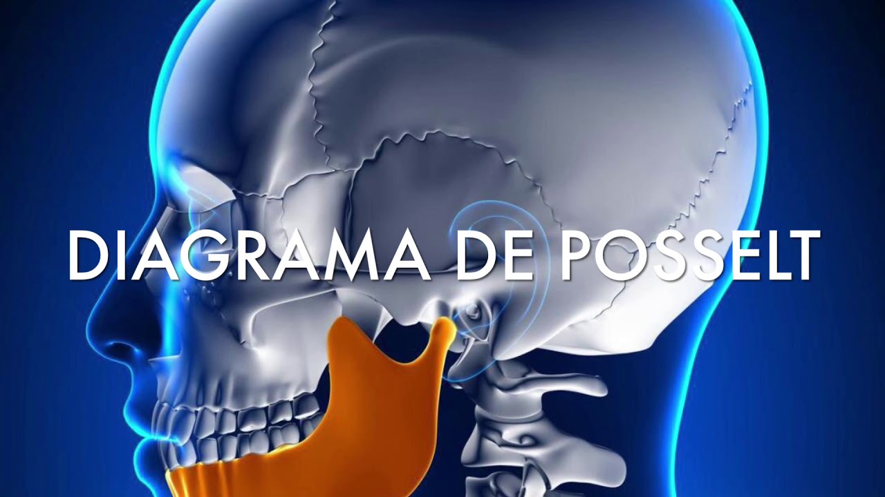 Diagrama de Posselt/movimientos bordeantes - YouTube