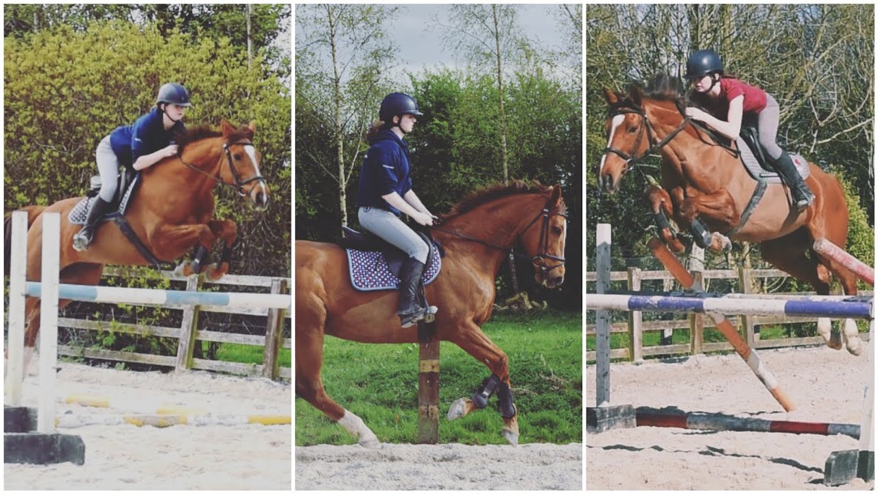 - 3 Showjumping Exercises - - YouTube