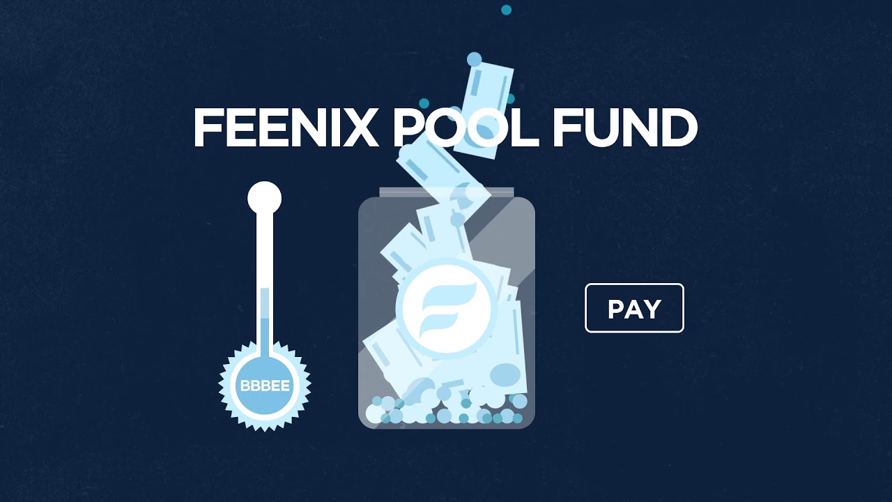 Feenix - Crowd funding for Students (Standard Bank CSI) - YouTube