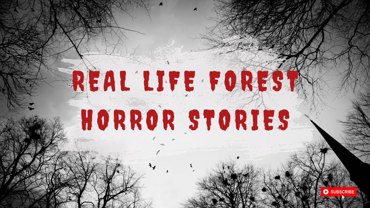 Real Scary Forest Horror Stories - YouTube