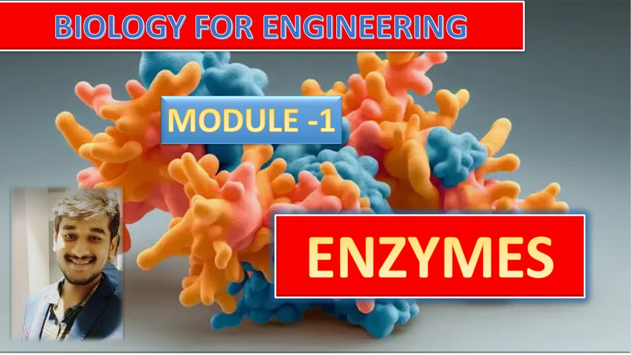 BIOLOGY FOR ENGINEERING MODULE 1 ENZYMES - YouTube