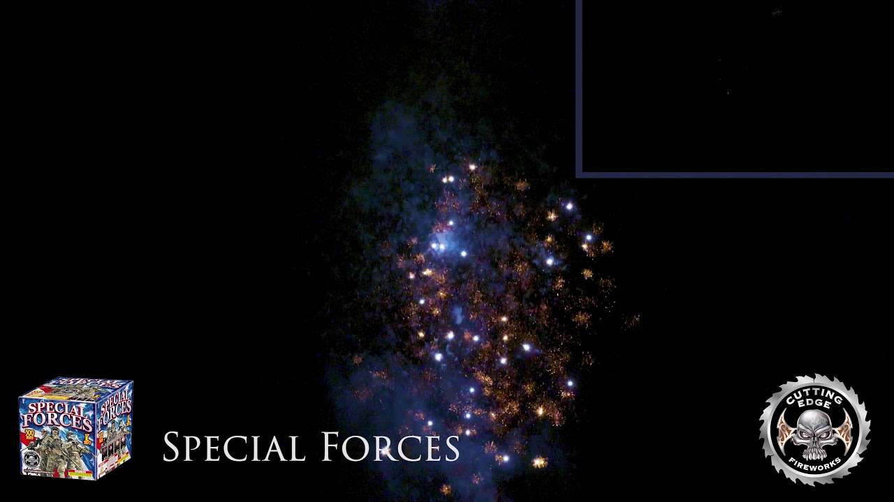 Special Forces - YouTube