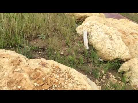 Stunt Masters Episode 1