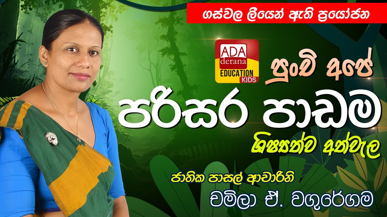 පුංචි අපේ පරිසර පාඩම | ගස්වල ලීයෙන් ඇති ප්‍රයෝජන | Gaswala prayojana ...
