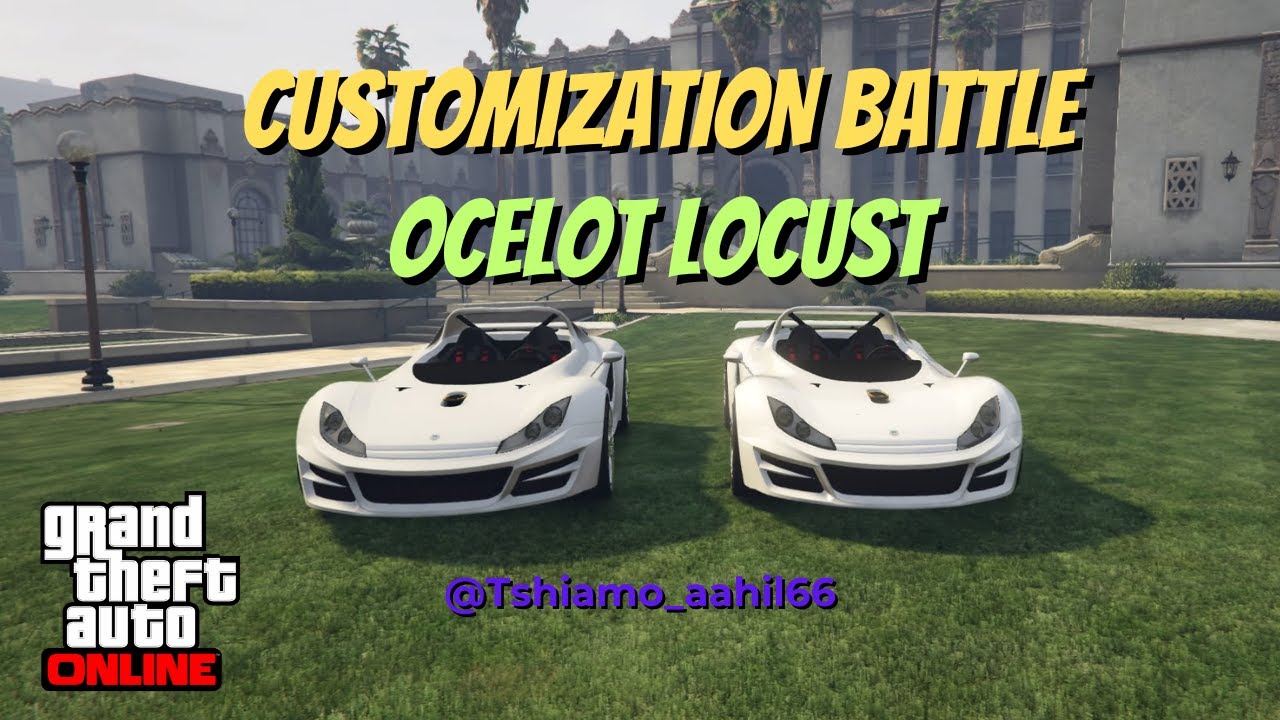 GTA Online Customization Showdown: Ocelot Locust Battle with Friend ...