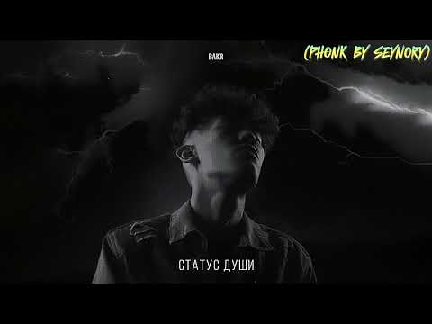 Bakr Статус души (PHONK)
