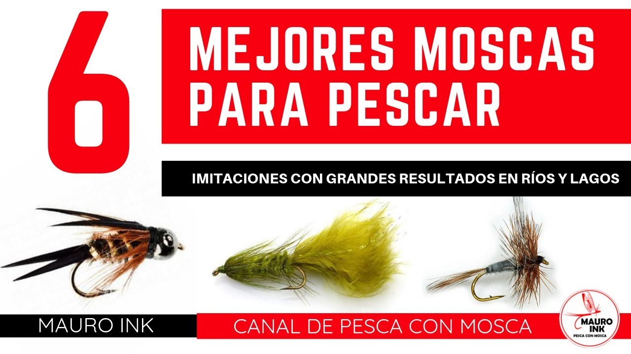 LAS MEJORES MOSCAS para PESCA CON MOSCA, fly fishing, pesca a mosca ...