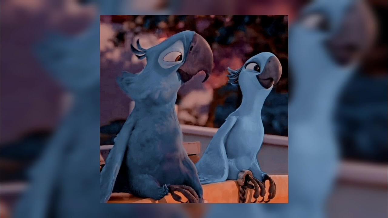 take you to rio (sped up) ~ from rio - YouTube