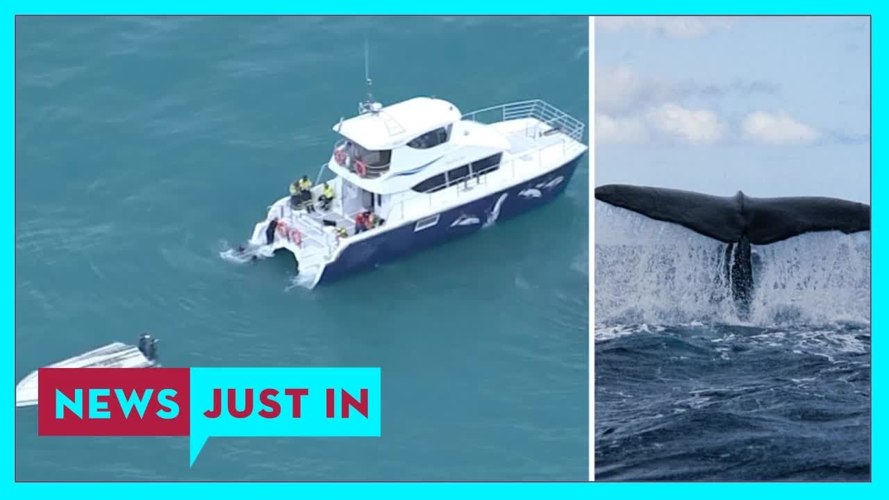 New details as five die when ‘whale capsizes boat’ on bird-watching ...