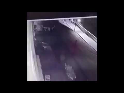 La mujer perro video original / Niña perro mexico