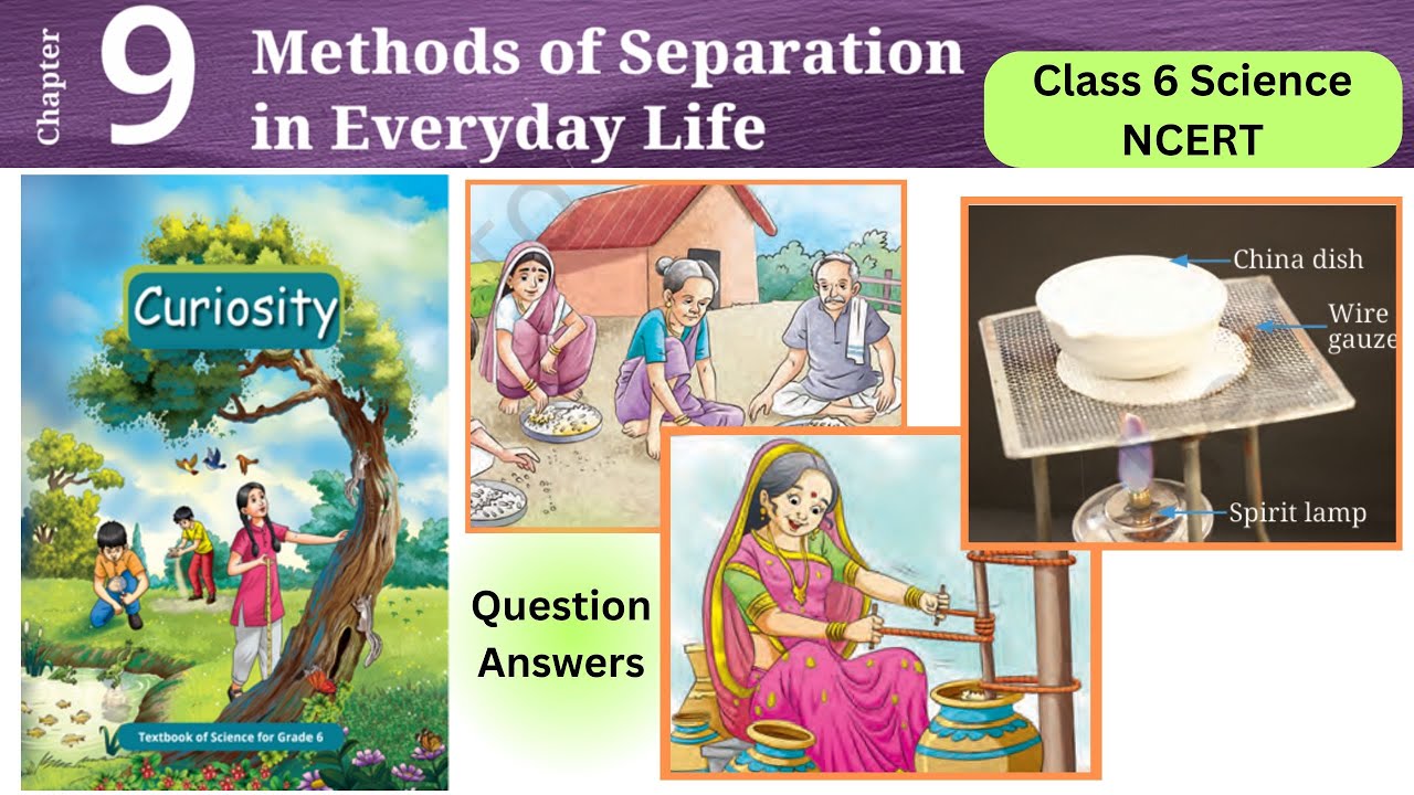 Method of Separation in Everyday Life Question Answer #class6 #science ...